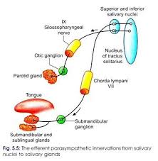 download – Coffeedent